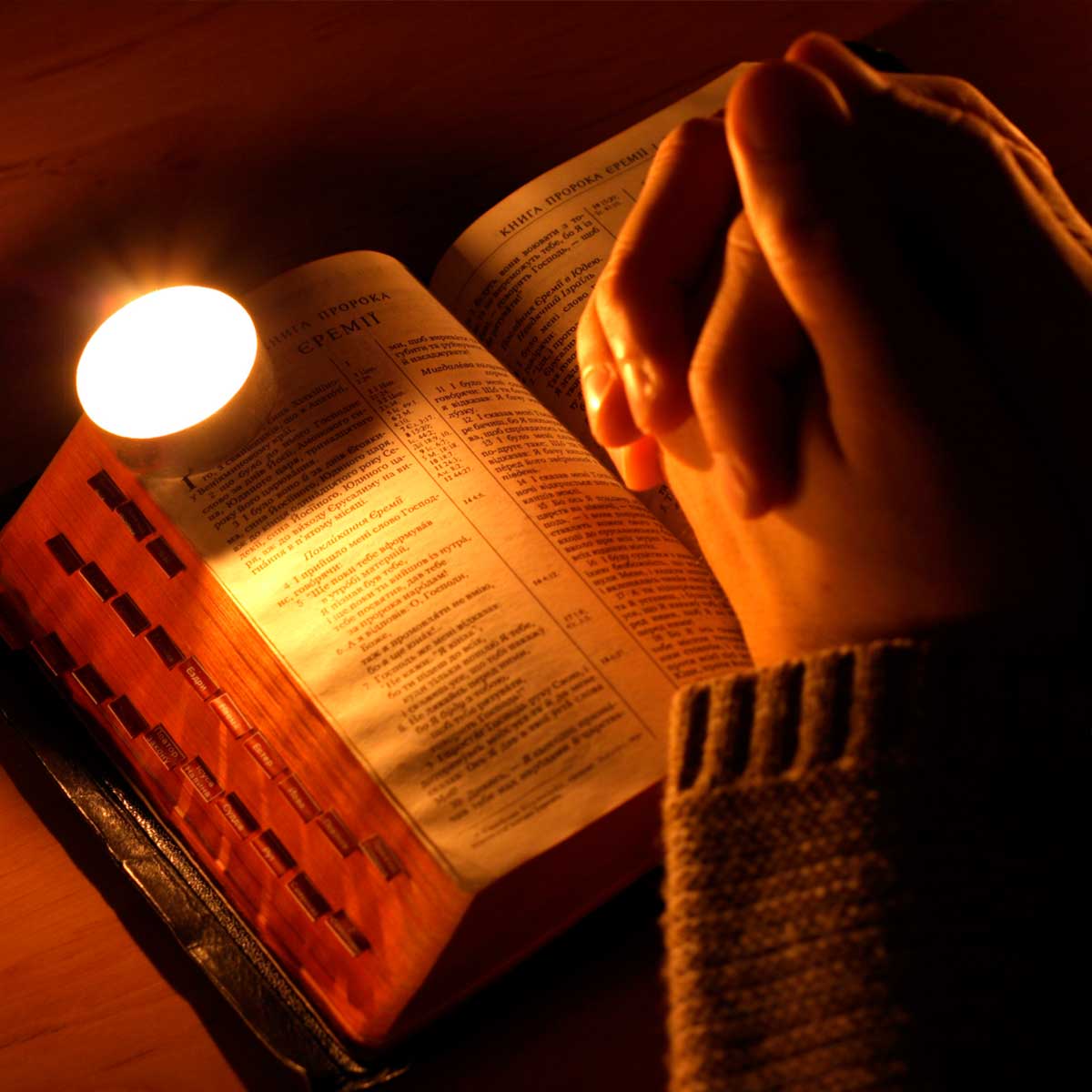 Dia da Bíblia: Celebração e Importância deste Dia 2025