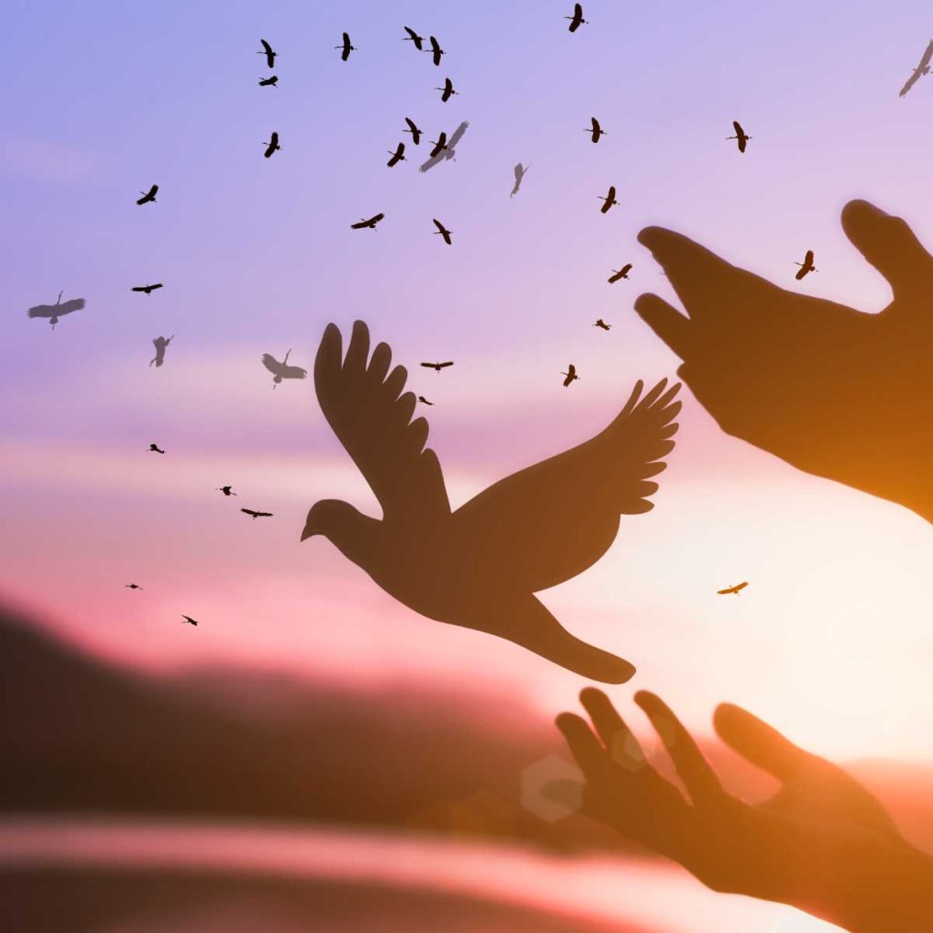 20 Versículos Sobre Libertação: Liberdade em Deus