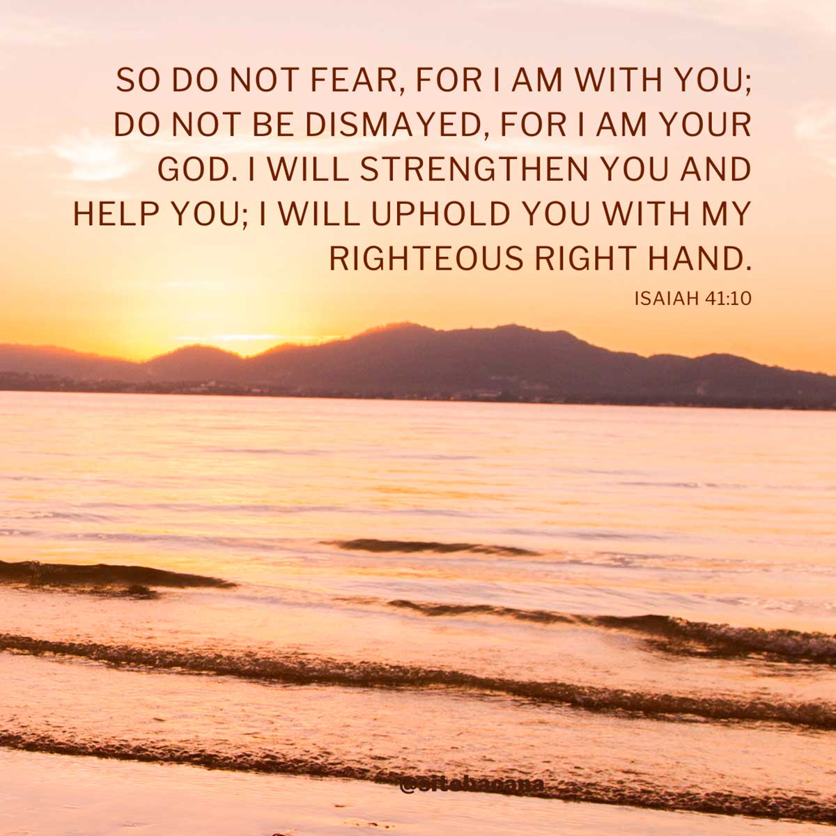 20 Bible Verses About the Heart to Reflect On Today