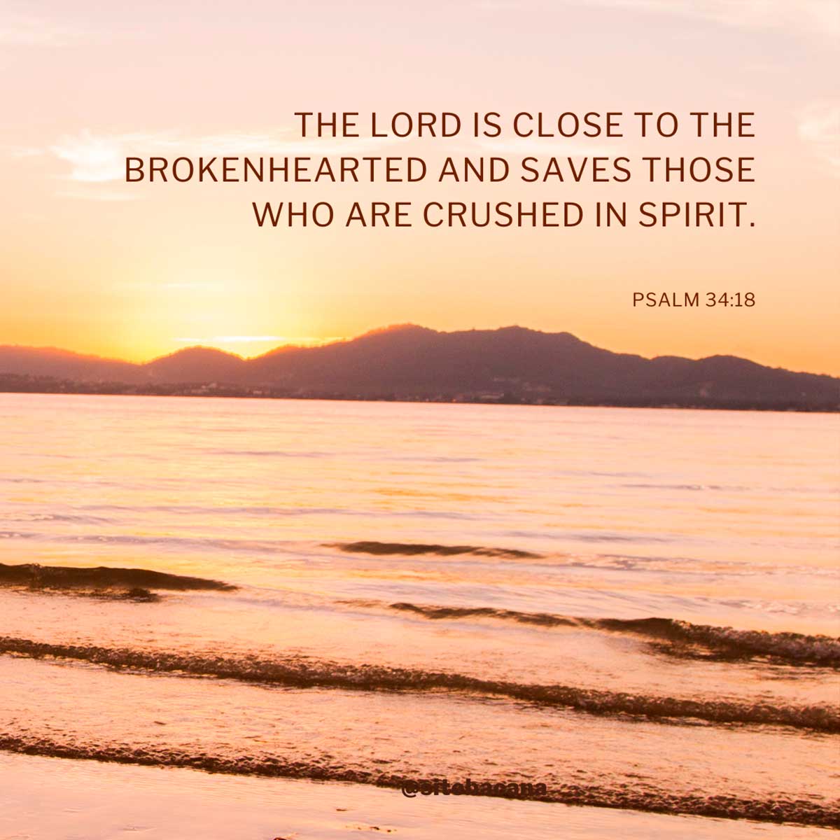 20 Bible Verses About the Heart to Reflect On Today