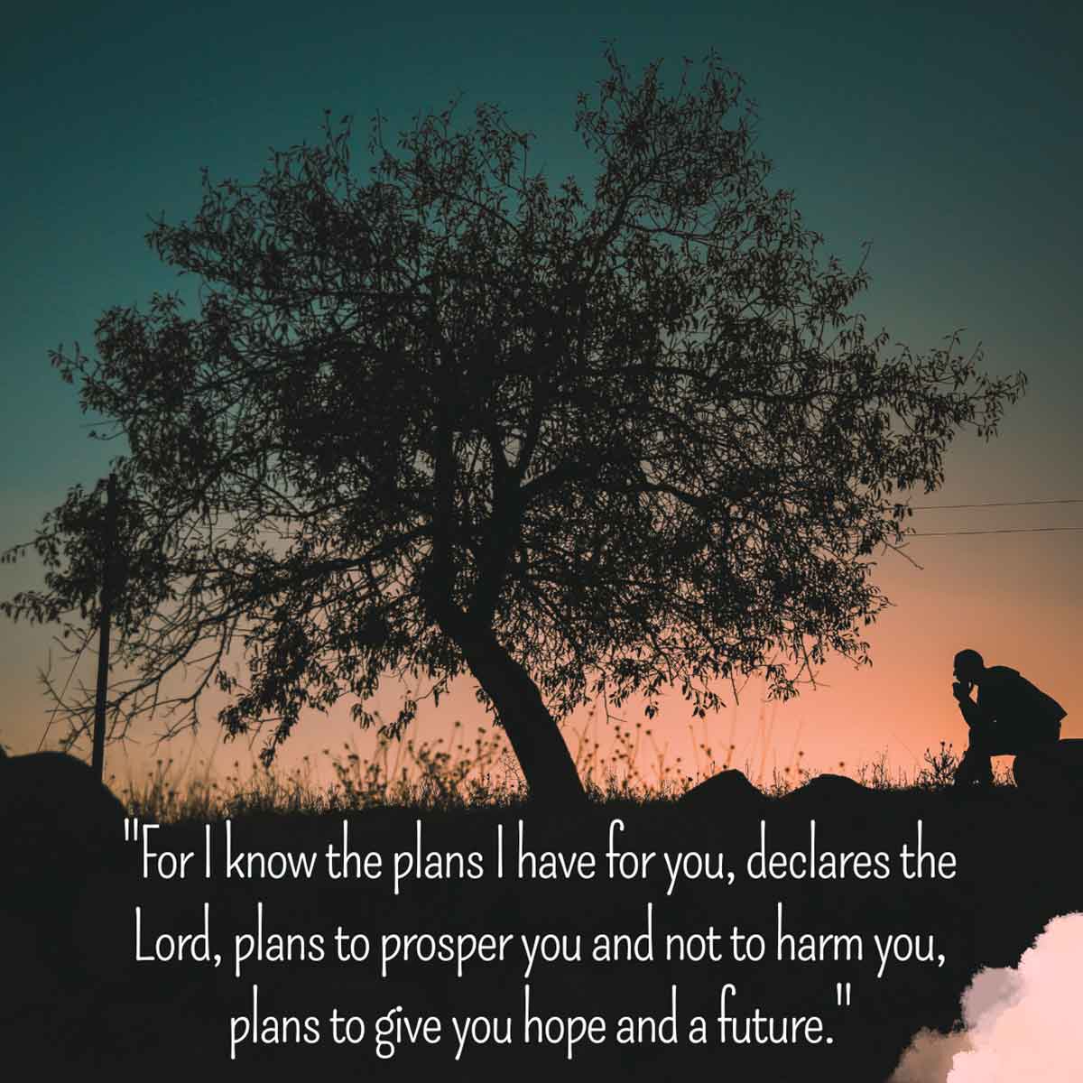 20 Bible Quotes for Good Luck: Power of Scripture