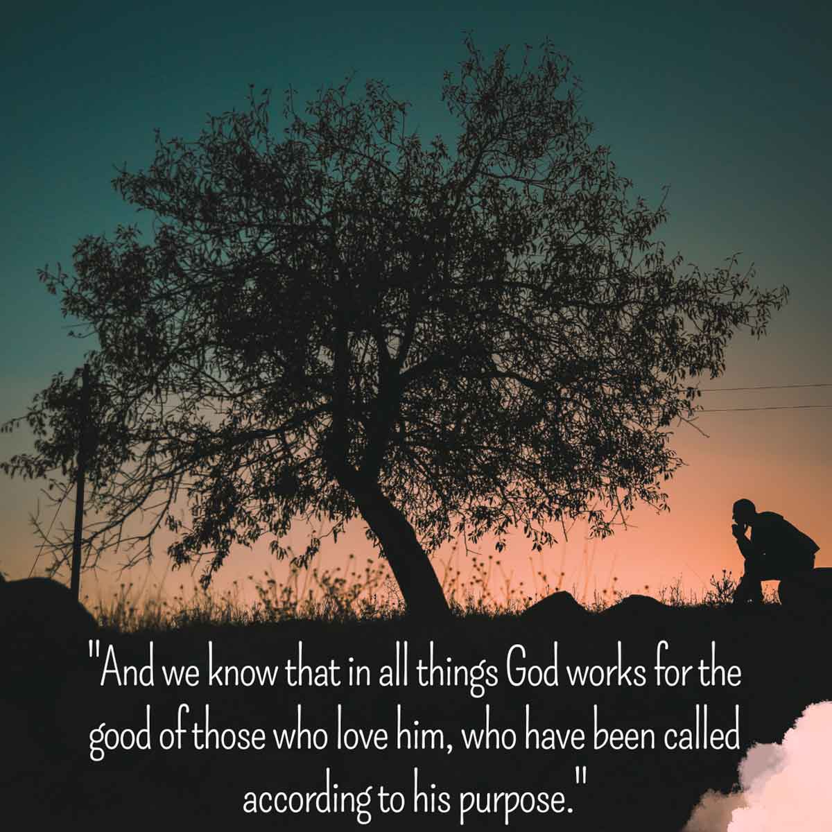 20 Bible Quotes for Good Luck: Power of Scripture