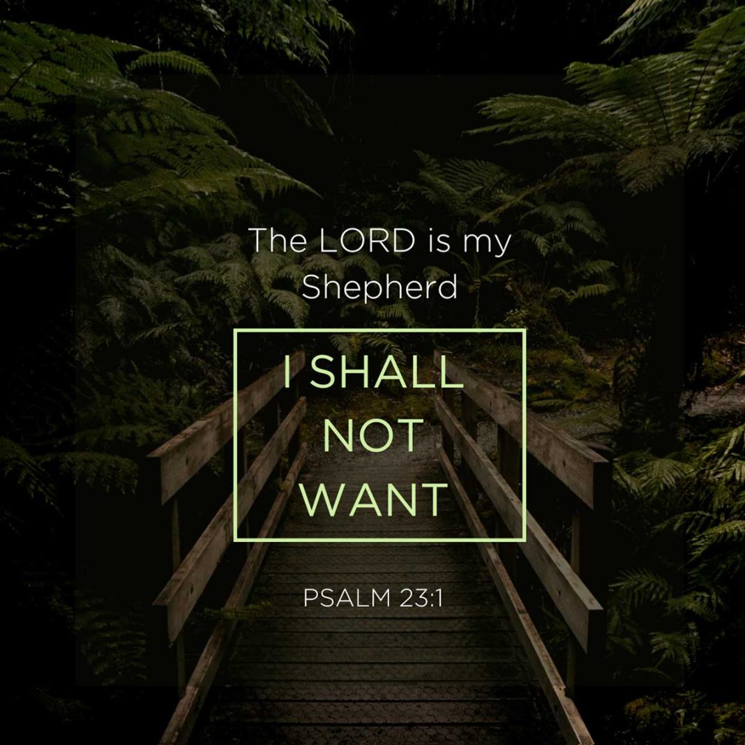 The Lord is my Shepherd; I shall not want - Psalm 23:1