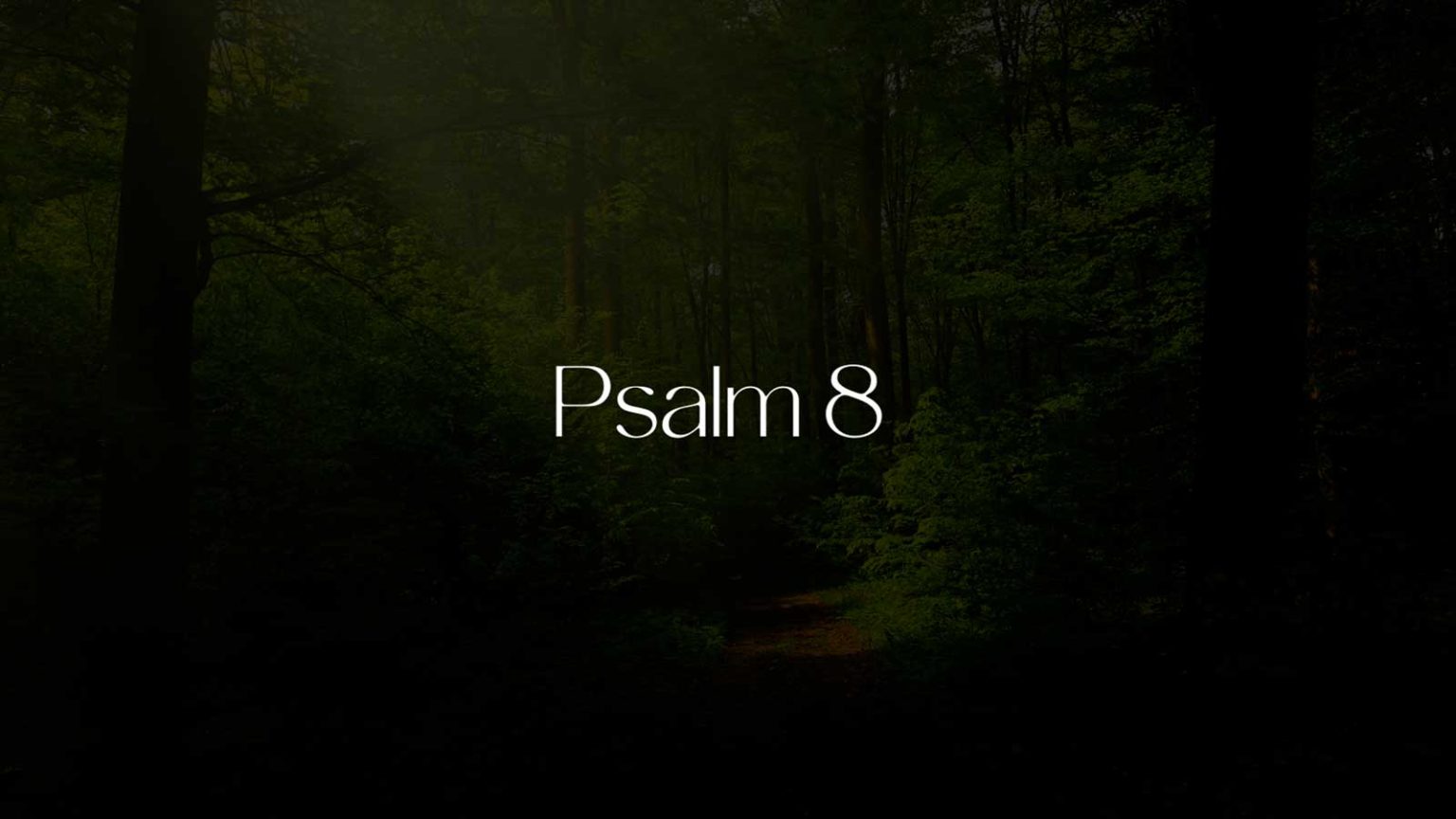Psalm 8: The Majesty of God and the Value of Human Beings